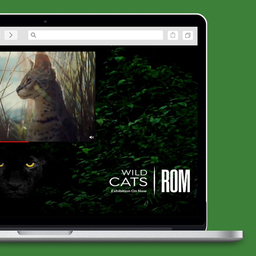 ROM WILDCATS – Coastal Digital Group